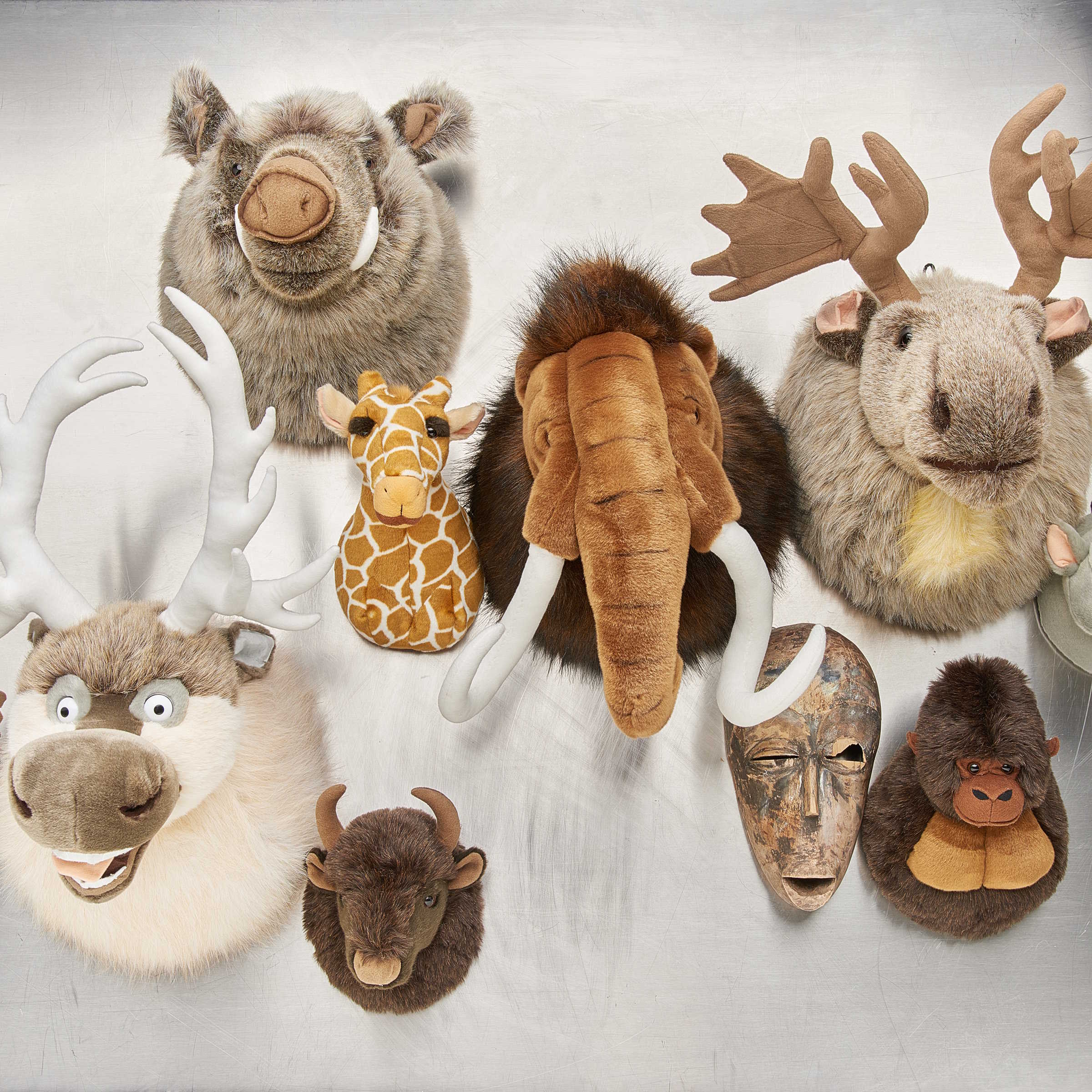 HALALI Large wild boar head - BUTLERS Malta