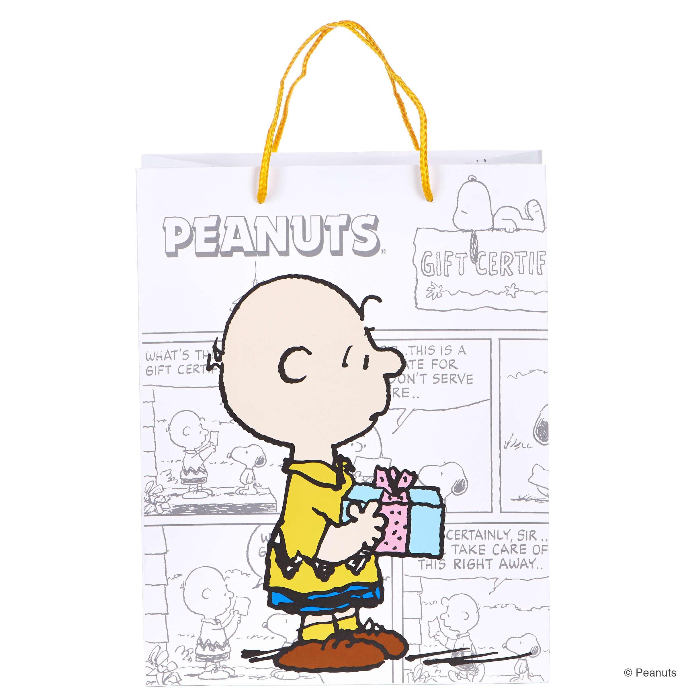 PEANUTS Charlie Brown gift bag - BUTLERS Malta